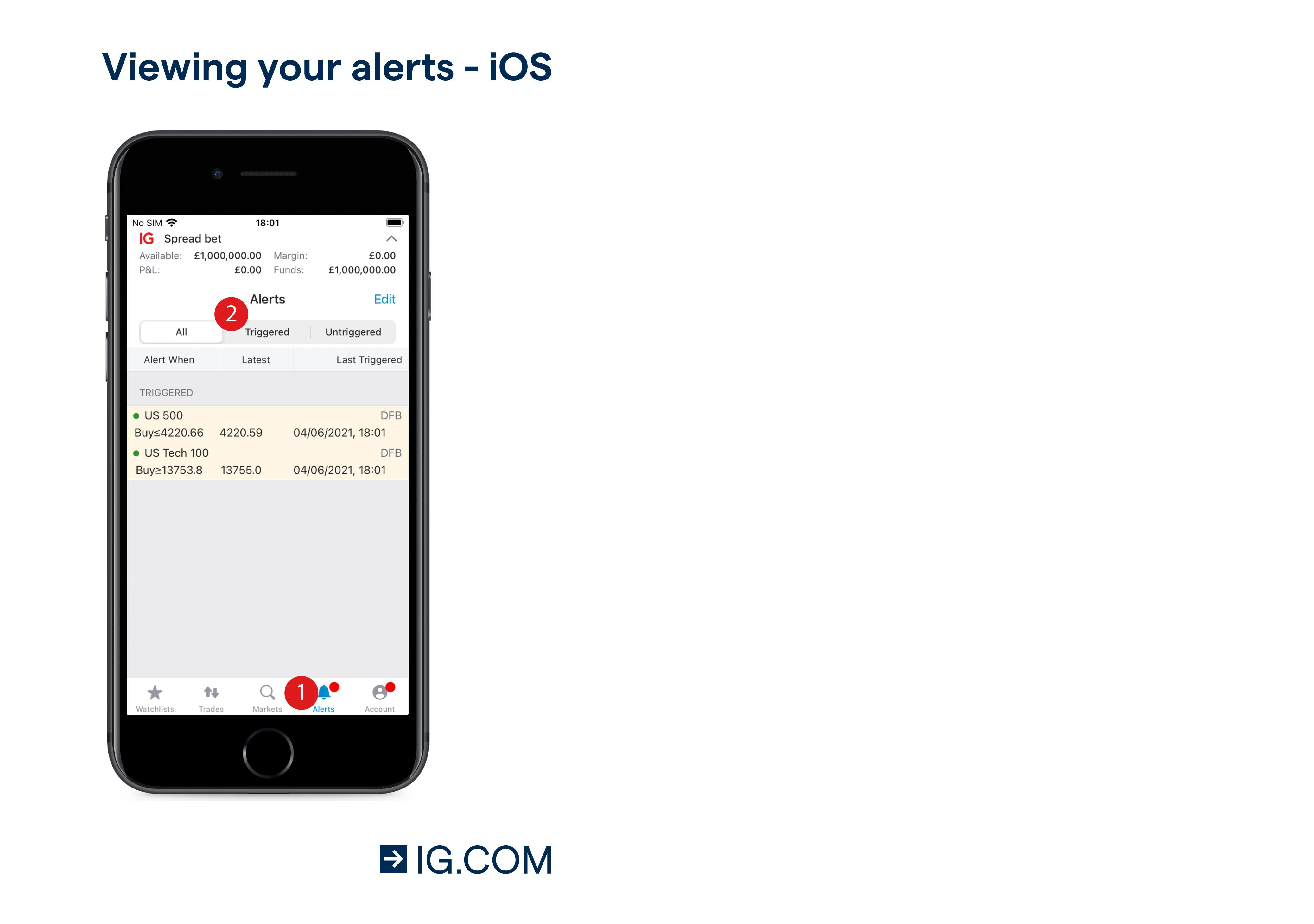 How do I use alerts? - IG UK